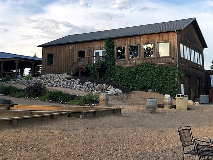 Rustic charm meets vineyard views. Schram's wooden wonder is like a cozy cabin, but with better drink options.