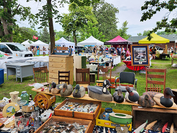 Ducks, decor, and deals galore! Shady Hollow's outdoor extravaganza is where your next conversation piece awaits, nestled between trees and tents.