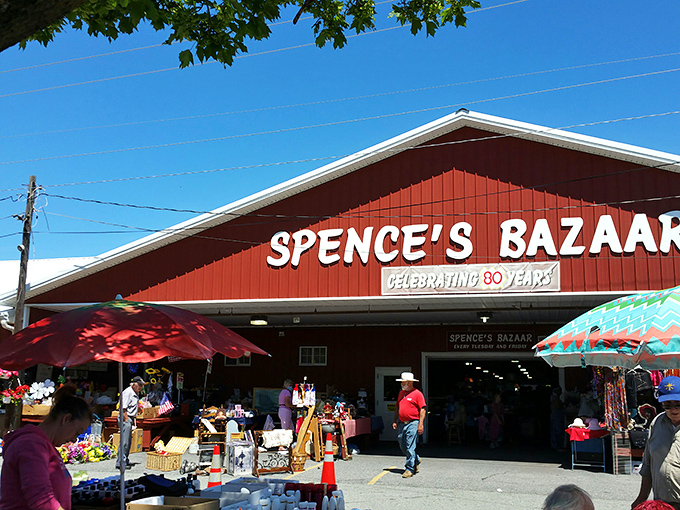 Step into Spence's, where "Celebrating 80 Years" isn't just a slogan—it's a testament to decades of delightful discoveries.