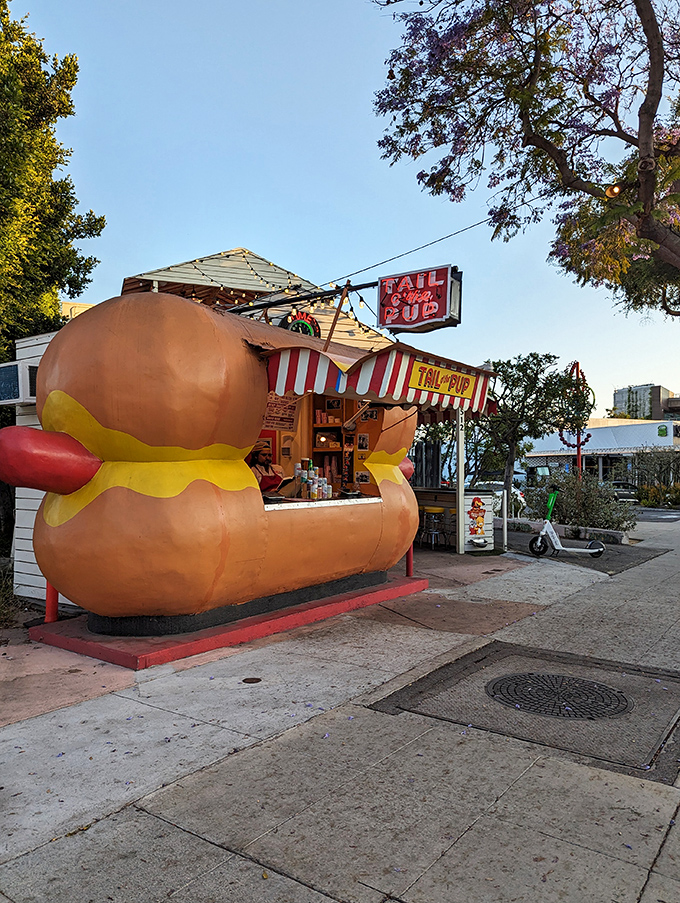 Tail O' the Pup: Where your inner child and your appetite join forces. It's a slice of Americana you can actually sink your teeth into!