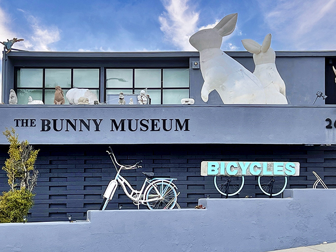 Carrot you glad you came? This bunny-themed bicycle display is just the tip of the rabbit hole.