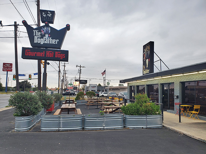 Forget the Corleone family, this Dogfather rules with mustard and relish. Step into a world where every dog is treated like royalty.