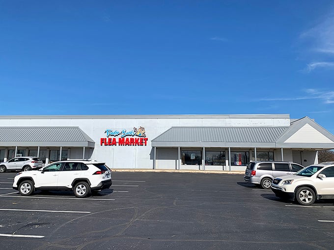 Bargain bonanza alert! Trader Buck's is like your eccentric uncle's attic, if that attic spanned a city block.