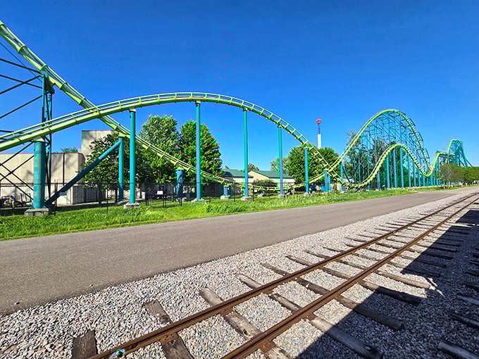 "Looping the loop like a Minnesotan chasing the last Juicy Lucy! This coaster's curves are smoother than a freshly zambonied ice rink."