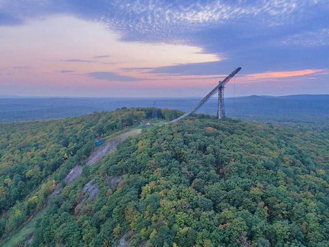 From up here, the forest looks like broccoli and the ski jump like a giant's diving board. Who's ready for a cannonball?