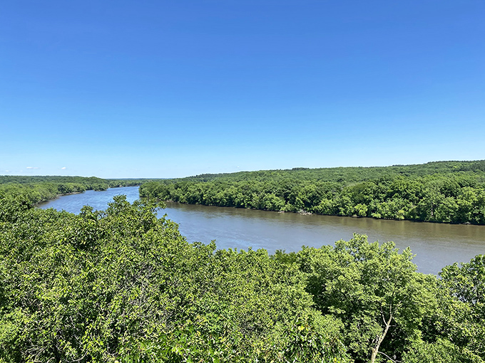 A bird's-eye view that'll make you feel like you've sprouted wings. Castle Rock's lush canopy stretches as far as the eye can see.