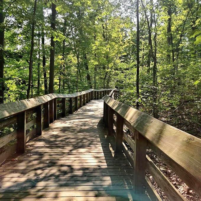 Who needs a yellow brick road when you've got this boardwalk? Follow the wooden path to discover Ohio's hidden Emerald City.