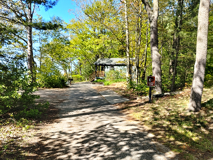 Cozy cabin or woodland fortress? This charming retreat offers a perfect blend of rustic charm and modern comfort.