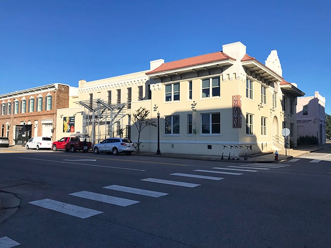 Downtown Pensacola: Where every building tells a story, and every story involves seafood. This historic district is like a time capsule with better Wi-Fi and tastier restaurants.