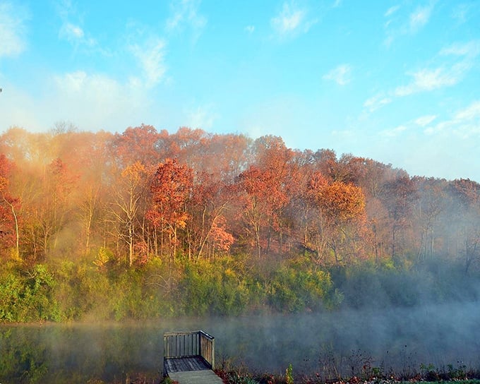 Nature's own smoke machine? Nope, just a misty morning at Kickapoo. Fog-draped trees create a scene straight out of a fantasy novel.