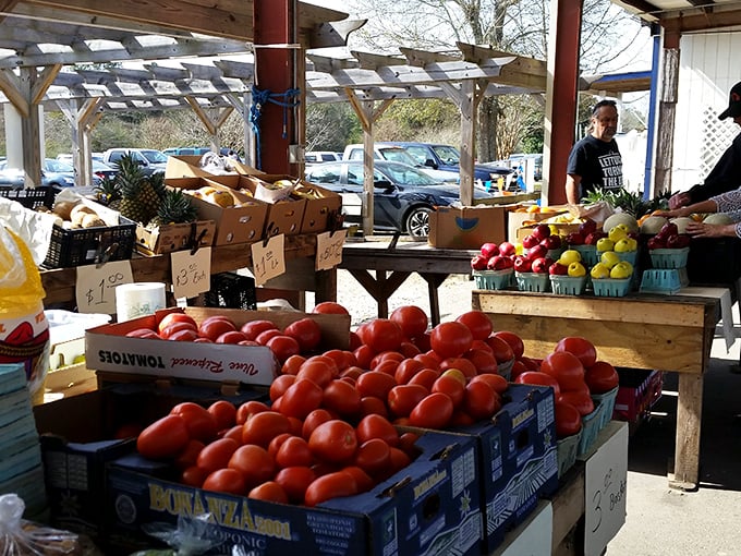 Nature's candy store! These vibrant veggies are so fresh, you can almost hear them gossiping about the other produce.