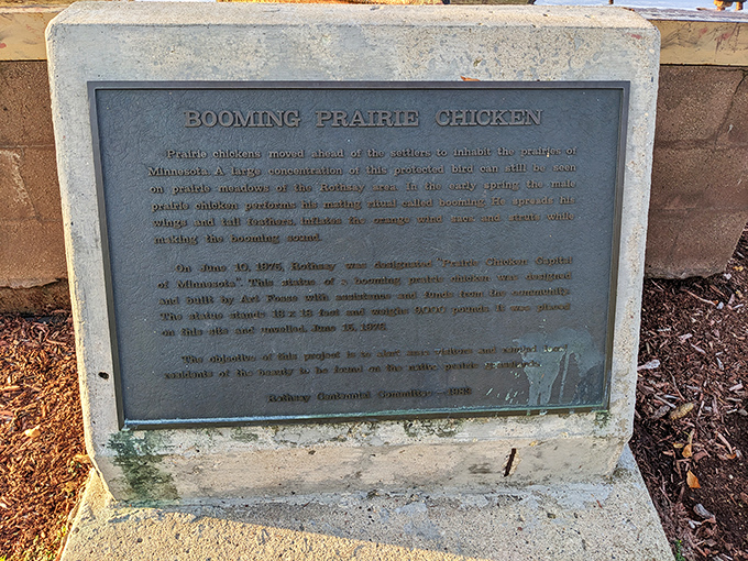 History etched in bronze: A plaque that tells the tale of prairie chickens and small-town dreams. Who knew poultry could be so profound?