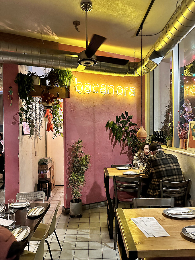 Step into a pink-hued paradise where neon dreams and plant parents unite. It's like your coolest friend's living room, but with better food.