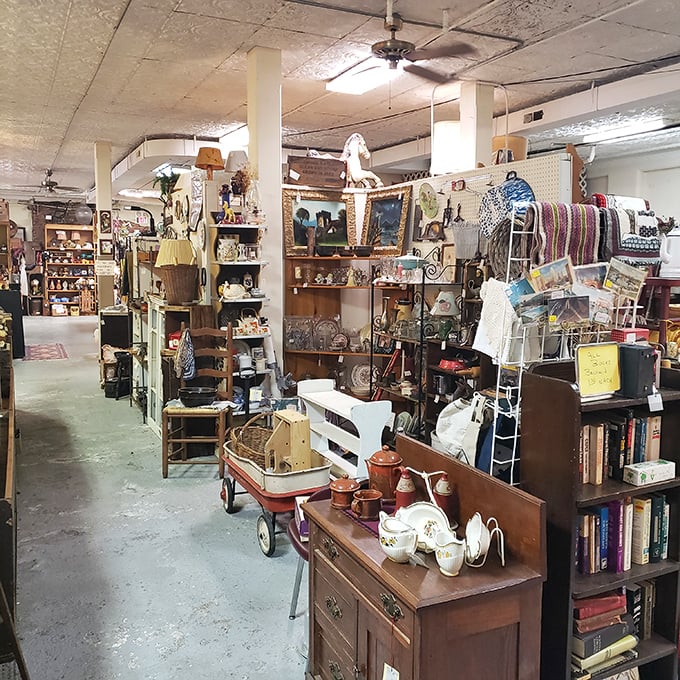 Treasure hunter's paradise or organized chaos? Either way, this labyrinth of memories is where Indiana Jones would shop for his living room.