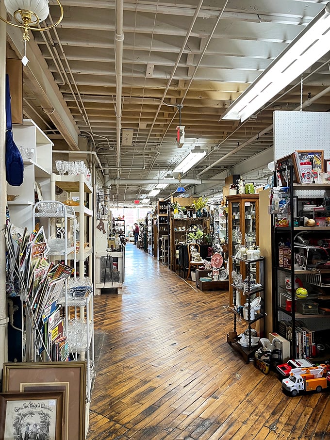 Aisle after aisle of nostalgia! It's like someone took your grandma's attic, multiplied it by a thousand, and sprinkled in a dash of magic.