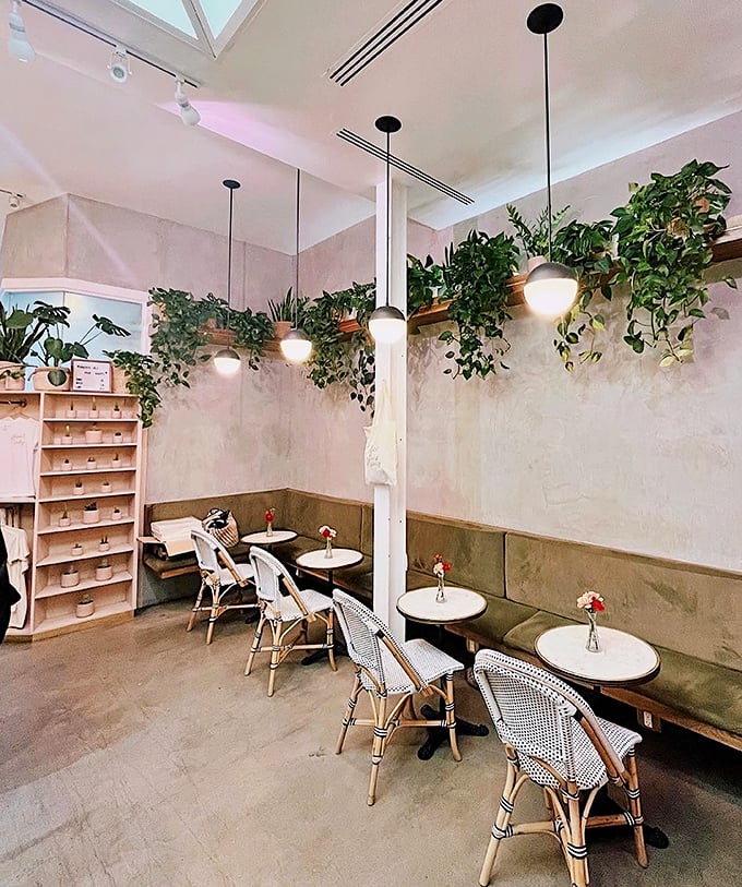 Jungle chic meets caffeine dreams. It's as if a group of ferns decided to throw a party and invited all their leafy friends &ndash; and you're on the guest list!