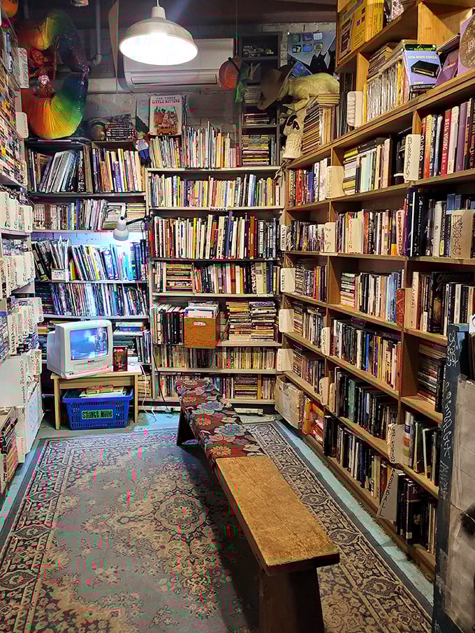 Bibliophile's paradise or hoarder's dream? This cozy nook is packed tighter than a sardine can with literary treasures. Good luck leaving empty-handed!