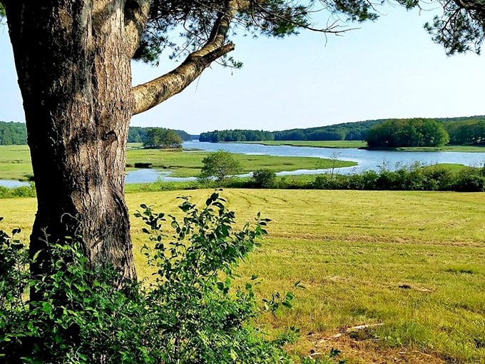 Mother Nature's masterpiece: Wiscasset's panoramic views are like a Bob Ross painting come to life, minus the "happy little trees" commentary.