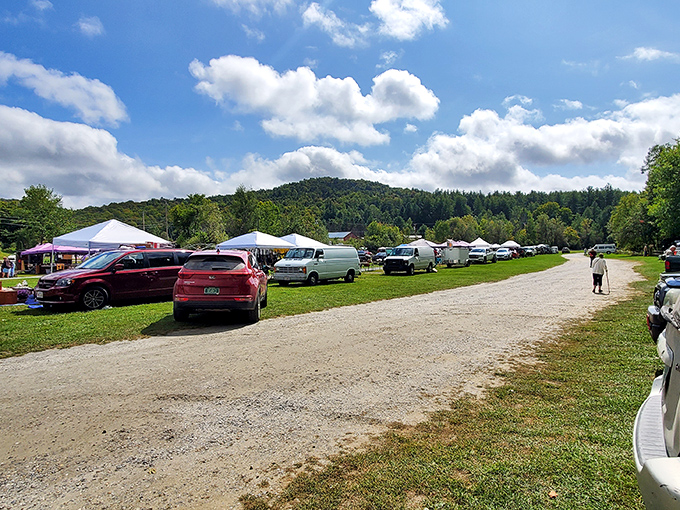 Parking with a view: Where your adventure begins and your car might just come home with more personality than it arrived with.