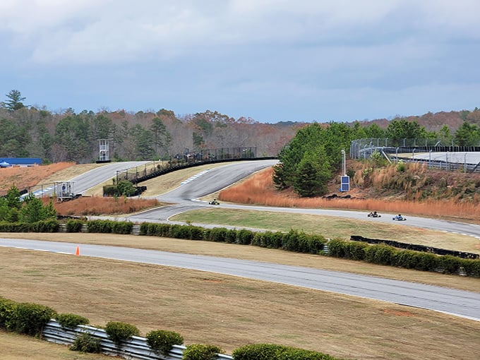 "Curves in all the right places! This track is so seductive, it'll make your steering wheel weak at the knees."