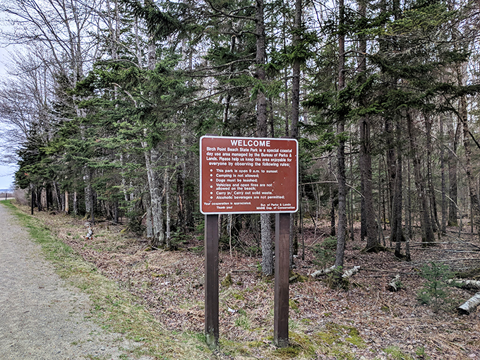 Nature's own bulletin board! This sign isn't just informative; it's your passport to adventure. Time to trade screen time for green time!