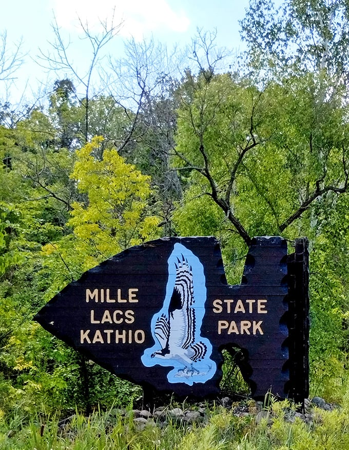 Welcome to Mille Lacs Kathio State Park, where the wildlife outnumbers the visitors. This sign's blue heron looks ready to fly right off into the green canopy.
