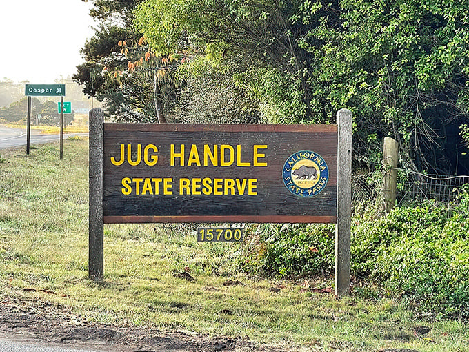 "X marks the spot!" This unassuming sign is like finding the map to your own personal Narnia, right off Highway 1.