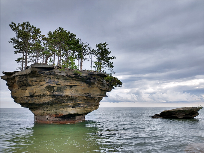 Talk about a bad hair day! This geological marvel sports a wild pine 'do that would make Einstein jealous.