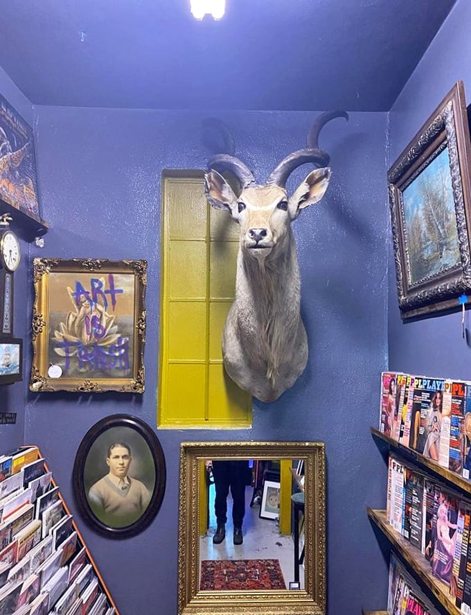 Oh deer, what have we here? A mounted head that's more Wes Anderson than hunting lodge, complete with a pop of yellow.