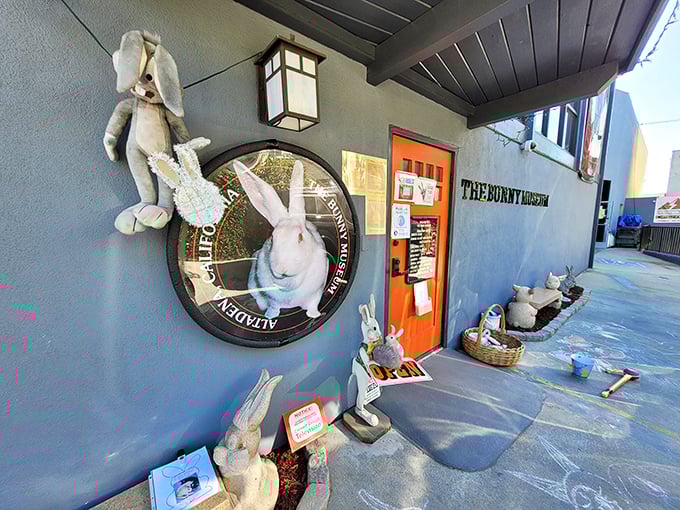 Hop on in! The entrance to this rabbit warren of wonders promises a journey down a very fuzzy rabbit hole.