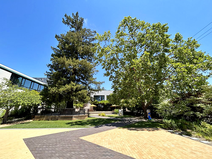 Nature meets nostalgia in this tranquil courtyard. It's like Charlie Brown finally kicked that football and landed in a perfectly manicured garden paradise.
