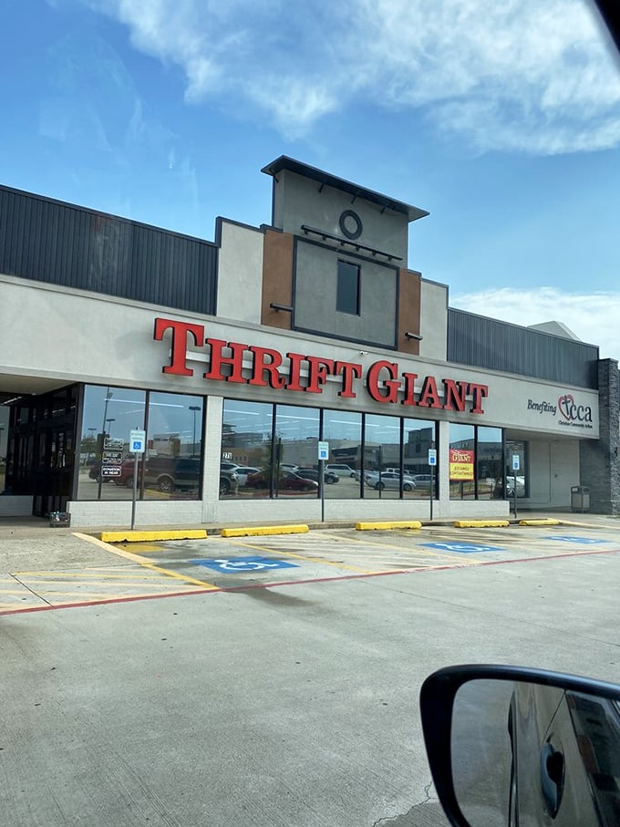 Bathed in the warm glow of possibility, Thrift Giant beckons like a lighthouse for the frugal fashionista and the curious collector alike.