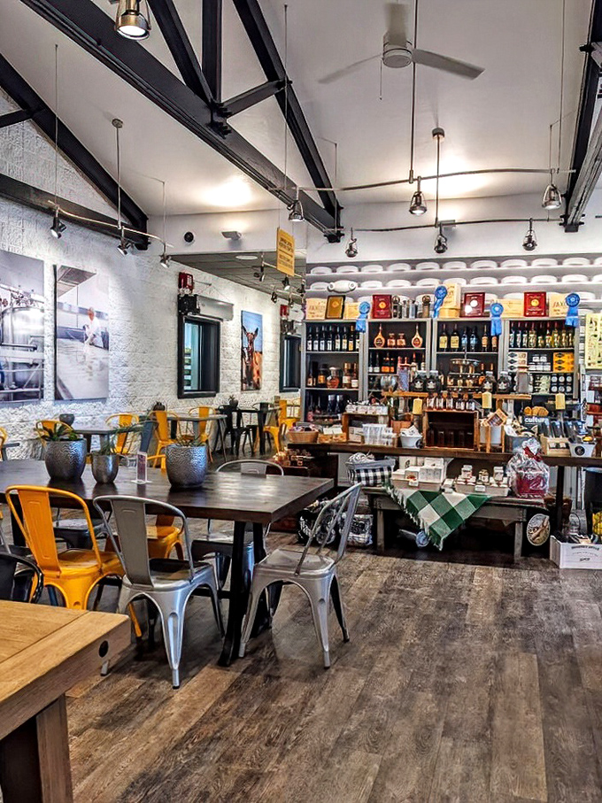 Step into a barn fit for royalty! These goats live better than most college students, with spacious digs and gourmet hay buffets.