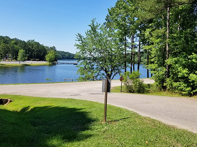 Where the trees meet their watery twins. This lakeside view is so perfect, you'll wonder if you've stumbled into a Bob Ross painting come to life.