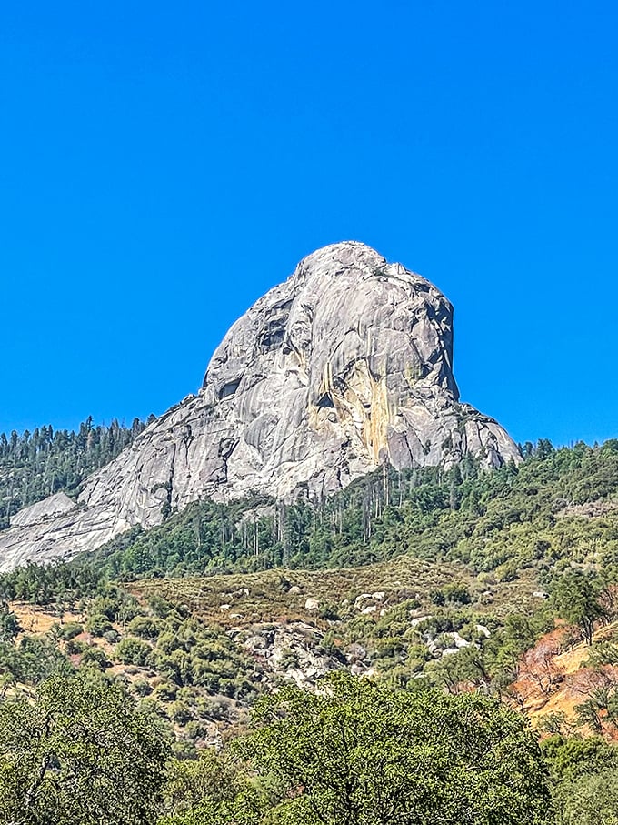 Mother Nature's own skyscraper! Moro Rock stands tall, daring you to conquer its granite slopes for a bird's-eye view of Sequoia.