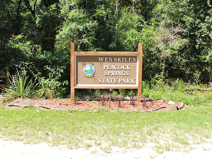 "Wes Skiles Peacock Springs State Park" - where adventure meets tranquility. It's like finding Narnia in your backyard!