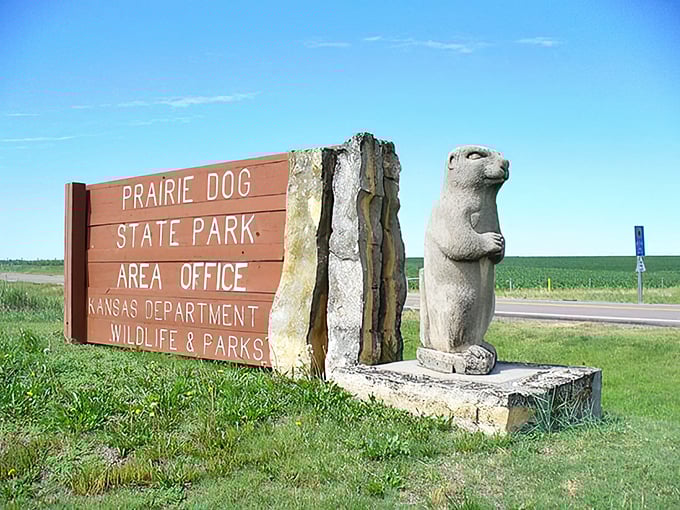 Move over, Hollywood Walk of Fame! This prairie dog statue is the real star of the show, standing guard at the park entrance like a furry, adorable bouncer.