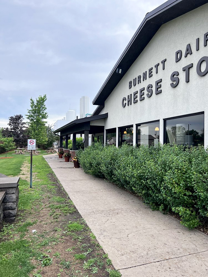 Nestled in nature, this cheese store beckons like a siren song to dairy devotees. It's the Graceland of Gouda, the Taj Mahal of Cheddar!