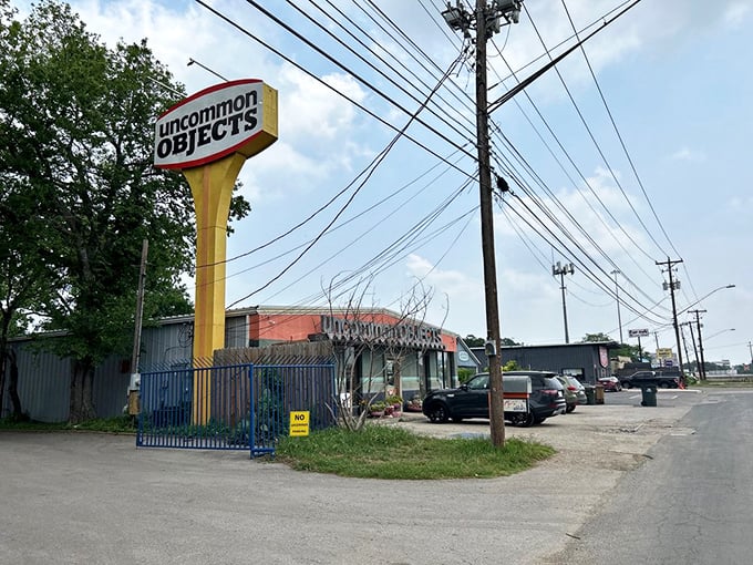 Look for the giant yellow sign &ndash; it's like a beacon calling all curious souls to explore this treasure trove of oddities.