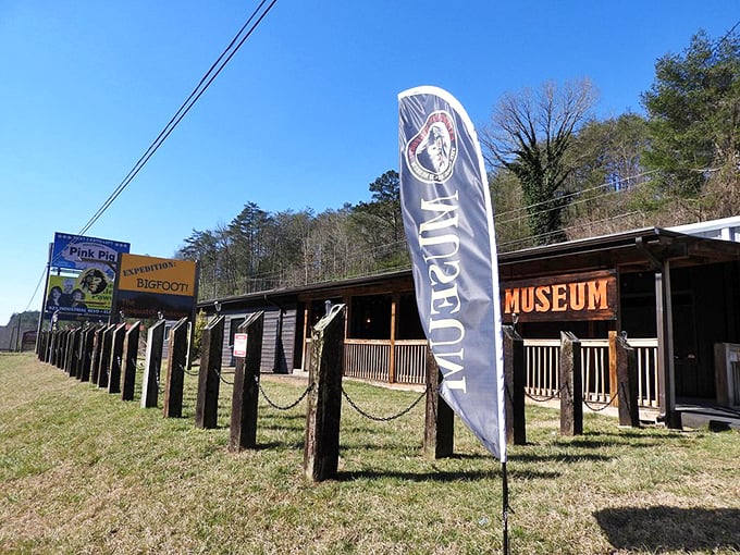 Bigfoot was here" &ndash; or was he? This eye-catching sign invites you to embark on a hairy adventure. No need for huge feet, just an open mind!