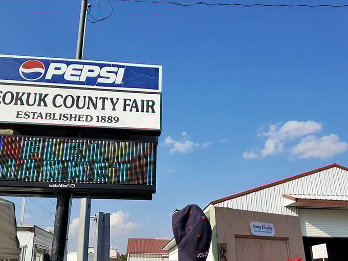"What Cheer" indeed! This sign promises more than just refreshments &ndash; it's a gateway to a world of vintage Americana and unexpected finds.
