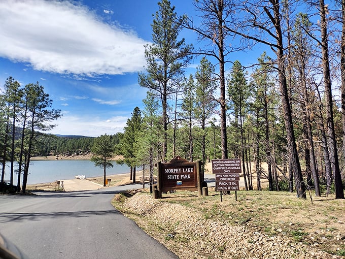 Welcome to paradise, population: you! This sign marks the entrance to Morphy Lake State Park, where adventure and tranquility go hand in hand.