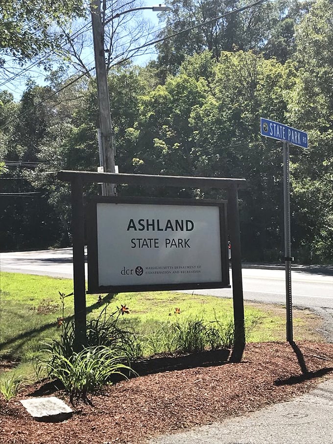 Welcome to nature's VIP lounge: Ashland State Park, where the trees stand taller than your average celebrity's ego.
