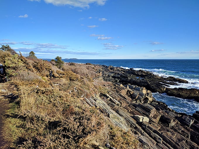 Mother Nature's rock garden puts my backyard to shame. These ancient formations are like geological time capsules, with waves as their persistent gardeners.