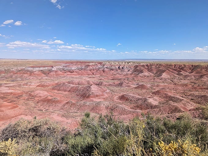 Fifty shades of red: Tiponi Point serves up a visual feast that would make even Georgia O'Keeffe reach for her paintbrush.