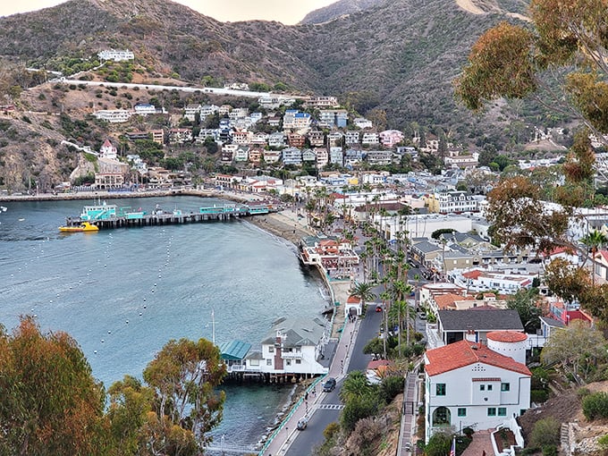 Hillside haven: Avalon's colorful houses cascade down to the sea like a Crayola box spilled on paradise. Talk about room with a view!