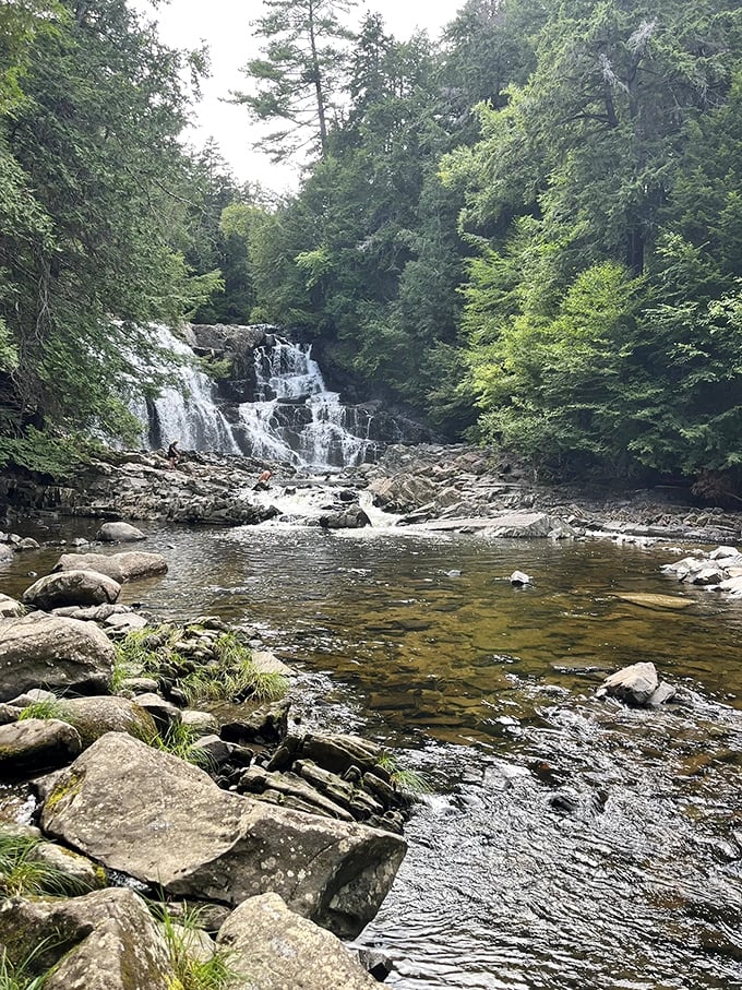 A scene straight out of a fantasy novel. This wide-angle view captures the falls in all their glory, surrounded by a lush forest fit for elves.