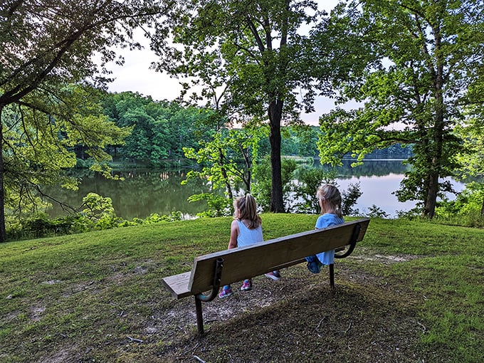 "I could sit here all day," said everyone who's ever parked themselves on this bench. It's nature's version of front-row seats to the best show in town.