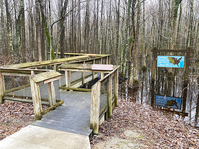 "Hmm, did I take a wrong turn at Albuquerque?" This entrance might make you double-check your GPS, but trust me, you're in for a treat.