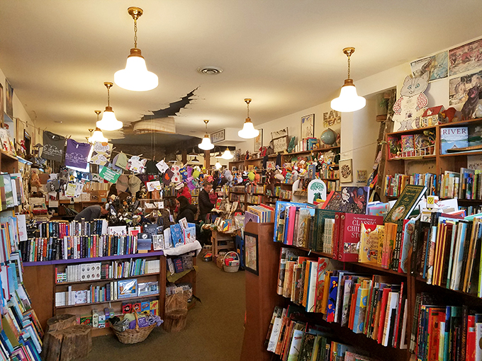 Step inside and prepare for sensory overload! Floor-to-ceiling bookshelves, quirky decorations, and&hellip; is that a shark hanging from the ceiling? Curiouser and curiouser!